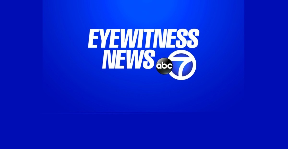 ABC7 Newscenter, New York, June 10, 2021 – JeffreyButts.net